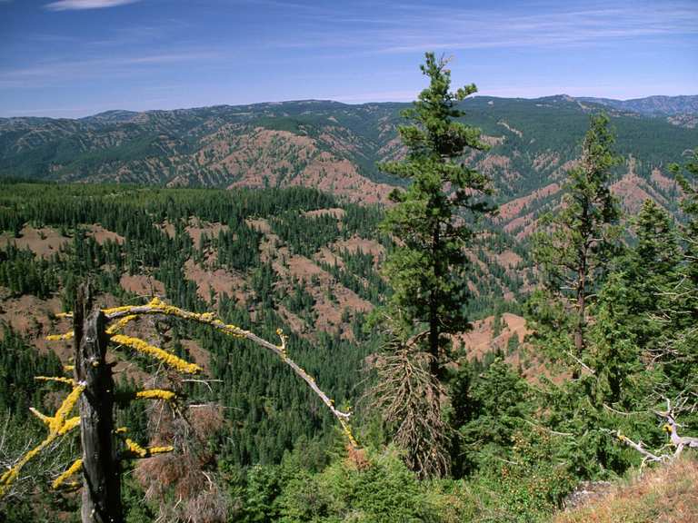 Top 5 Hikes and Walks in Wenaha-Tucannon Wilderness | Komoot