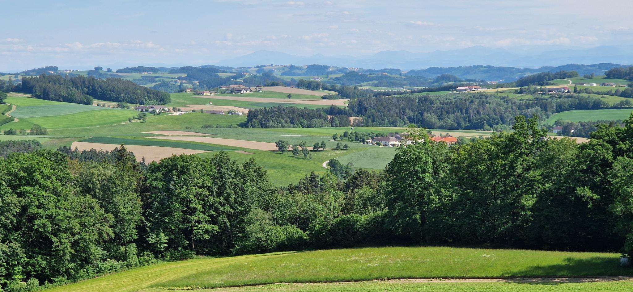 Ausflugsziele rund um Hagenberg im Mühlkreis - Die Top 20 | Komoot