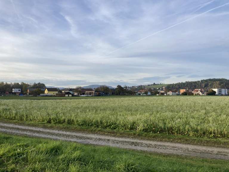 Attractions and Places To See around Langenstein - Top 20 | Komoot