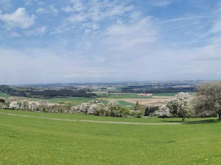 Sankt Peter In Der Au