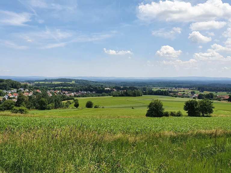 Die 10 schönsten Wanderungen rund um Friedenfels | Komoot