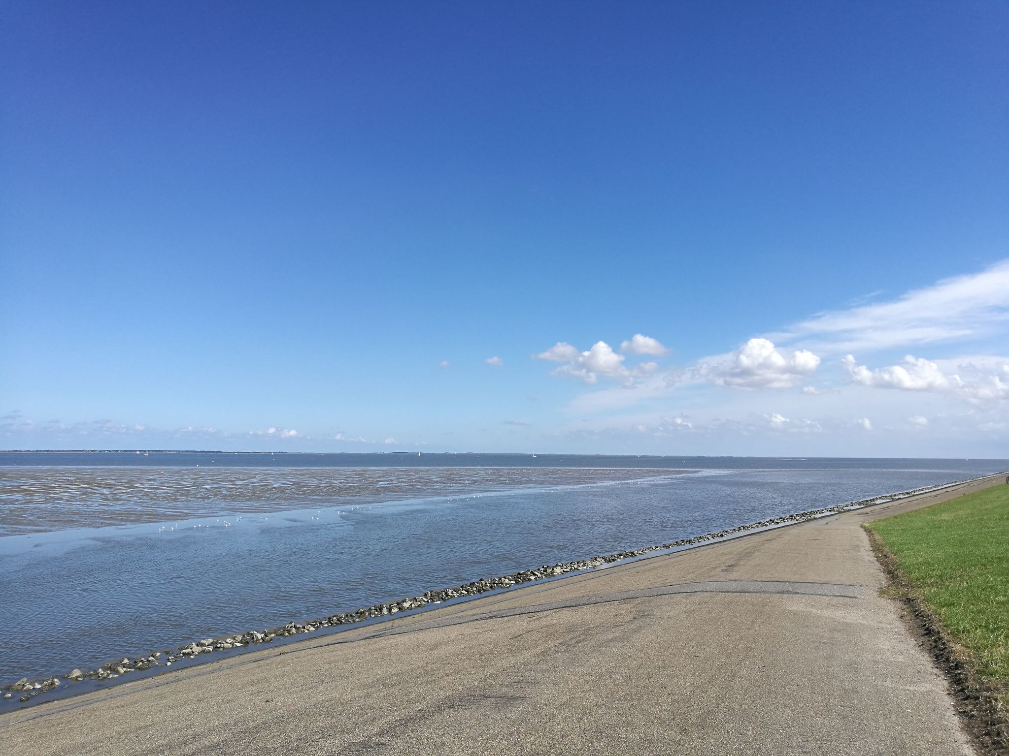 Die 10 schönsten Fahrradtouren in Friesland | Komoot