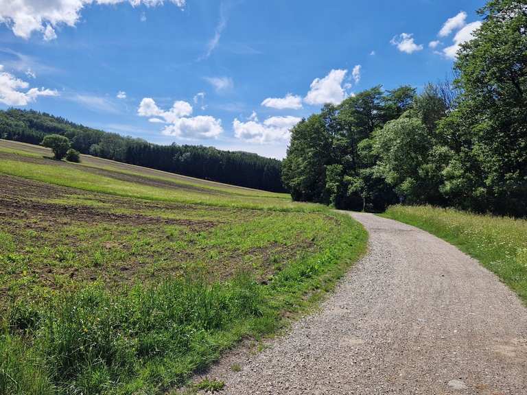 Die 10 schönsten Wanderungen rund um Gablitz | Komoot