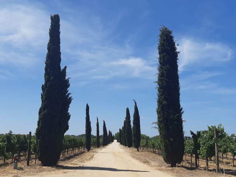 Top 10 Bike Rides and Cycling Routes around Sarilhos Grandes | Komoot