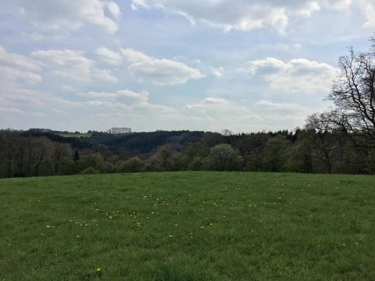 Die Top-Mountainbike-Touren rund um Arroios | Komoot