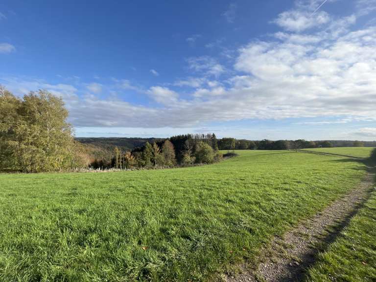 Die 10 schönsten Wanderungen rund um Geiselberg | Komoot