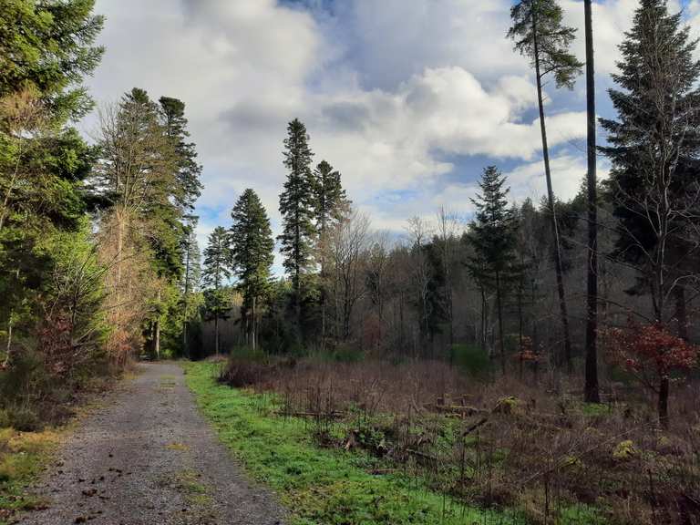Ausflugsziele rund um Unterreichenbach - Die Top 20 | Komoot