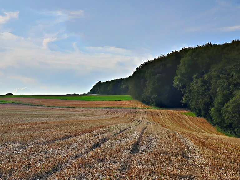 Die 10 schönsten Fahrradtouren rund um Geislingen an der Steige | Komoot