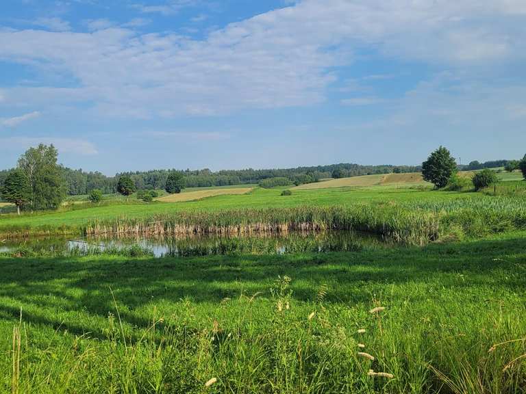 Lista 20 najciekawszych atrakcji i miejsc wartych zobaczenia wokół ...