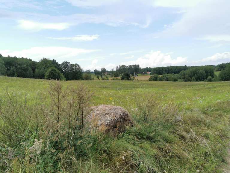 De mooiste bezienswaardigheden rondom Sorkwity - Top 20 | Komoot