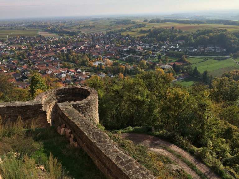 Top 20 Hikes and Walks around Annweiler am Trifels | Komoot
