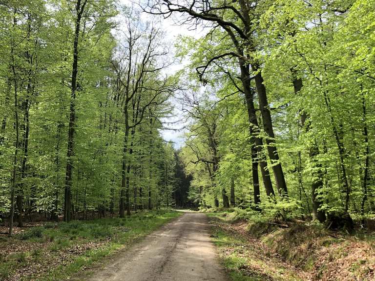 Ausflugsziele rund um Sachsenwald - Die Top 20 | Komoot