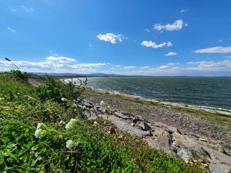 Lista 10 najlepszych wycieczek i tras rowerowych wokół Paczkowa | Komoot