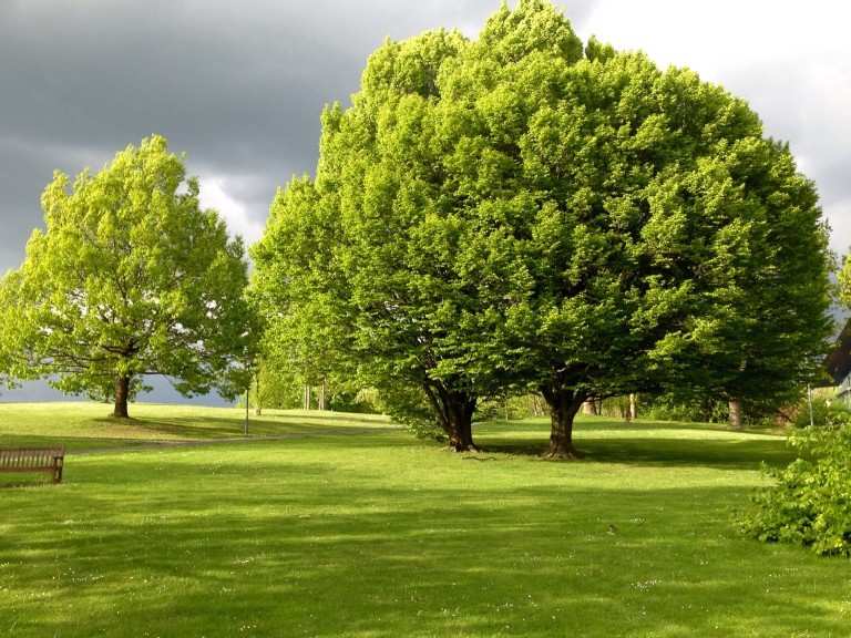 Die 10 schönsten Wanderungen im Deister | Komoot