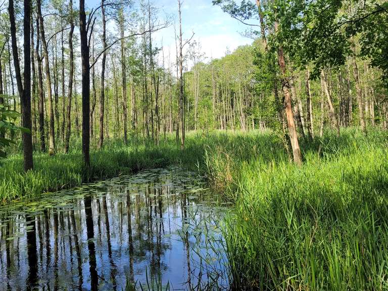 Die 9 schönsten Wanderungen rund um Olecko | Komoot