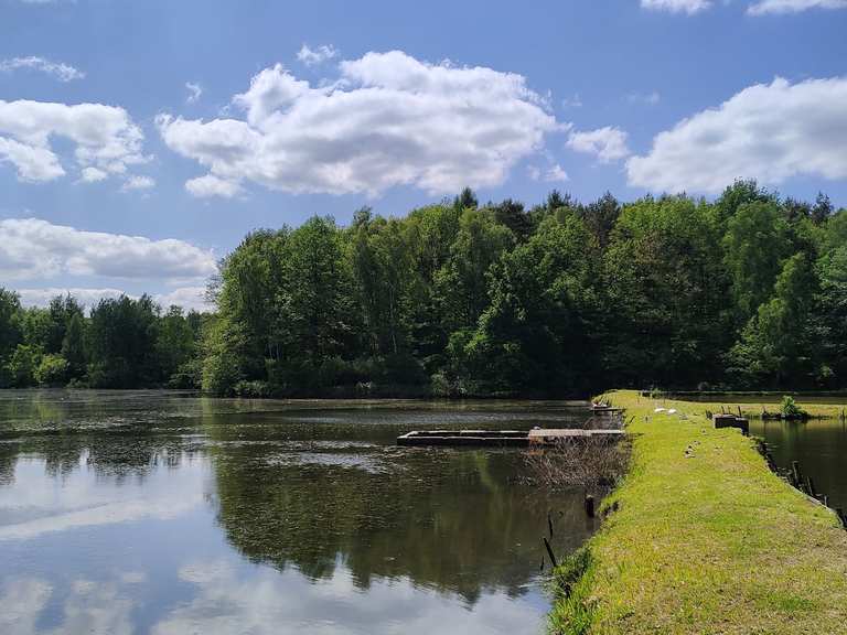 Top 10 Hikes and Walks around Rybnik | Komoot