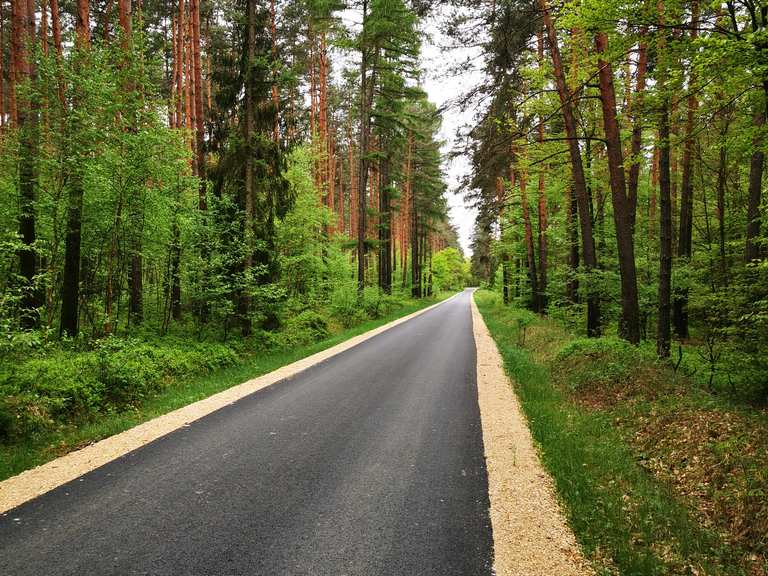 Lista 11 najpiękniejszych tras na rower szosowy w Kędzierzynie-Koźlu ...