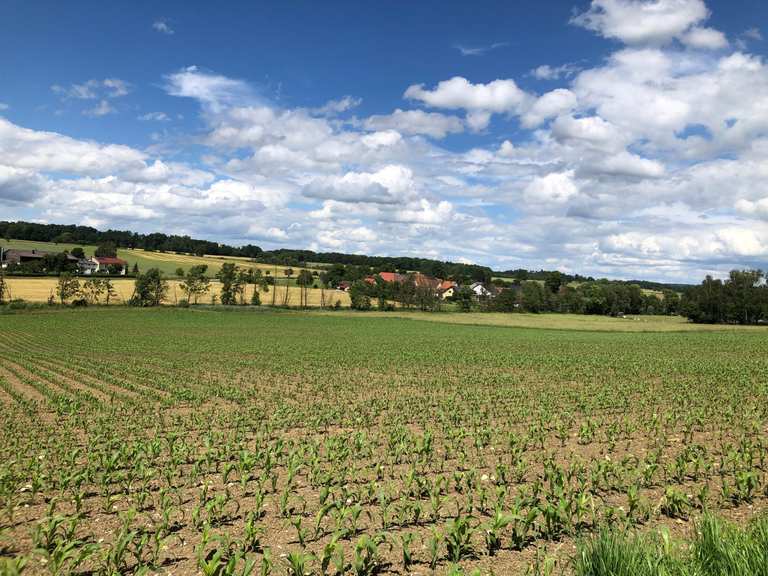 Ausflugsziele rund um Satteldorf - Die Top 20 | Komoot