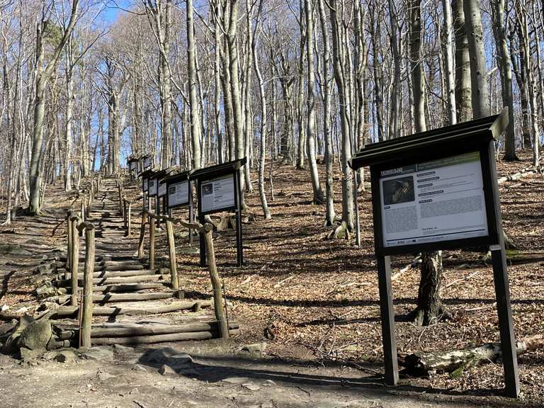 Top 10 Hikes and Walks around Strzelin | Komoot