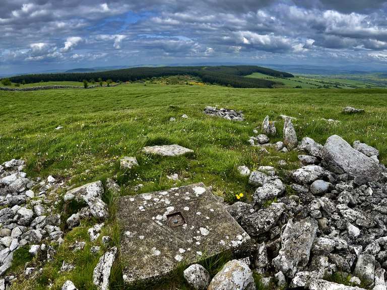 Top 10 Hikes and Walks around Castlecomer | Komoot