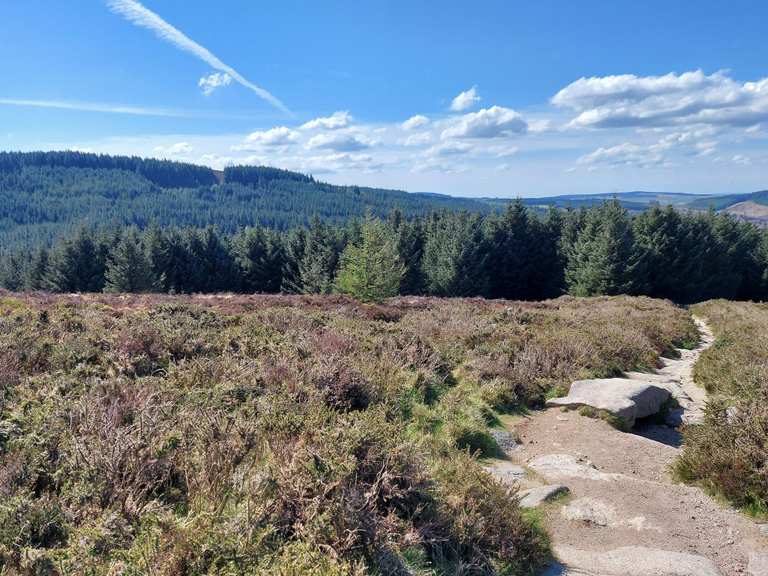 Die 10 schönsten Wanderungen rund um Dún Laoghaire–Rathdown | Komoot