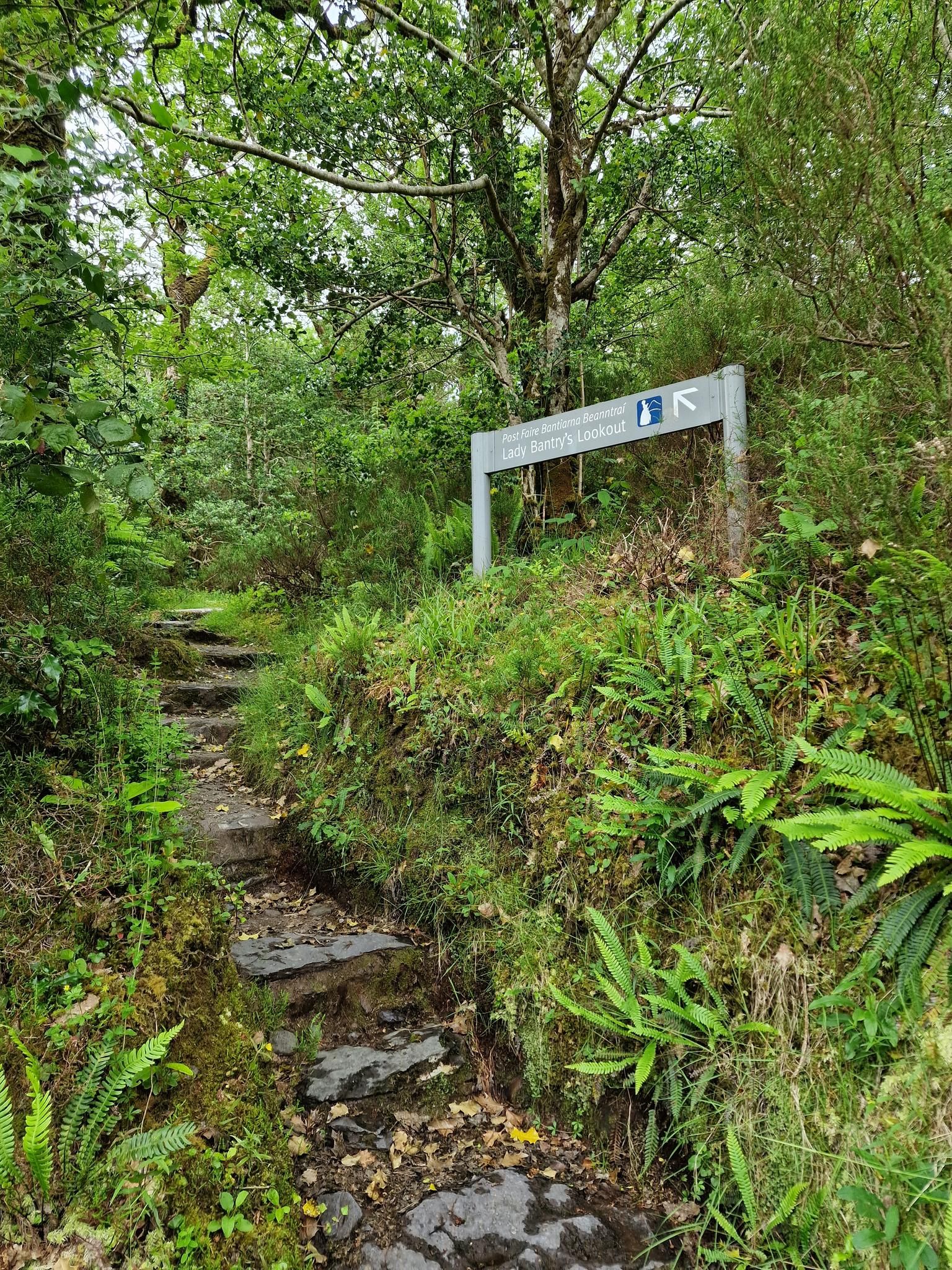 Top 10 Hikes and Walks around West Cork | Komoot