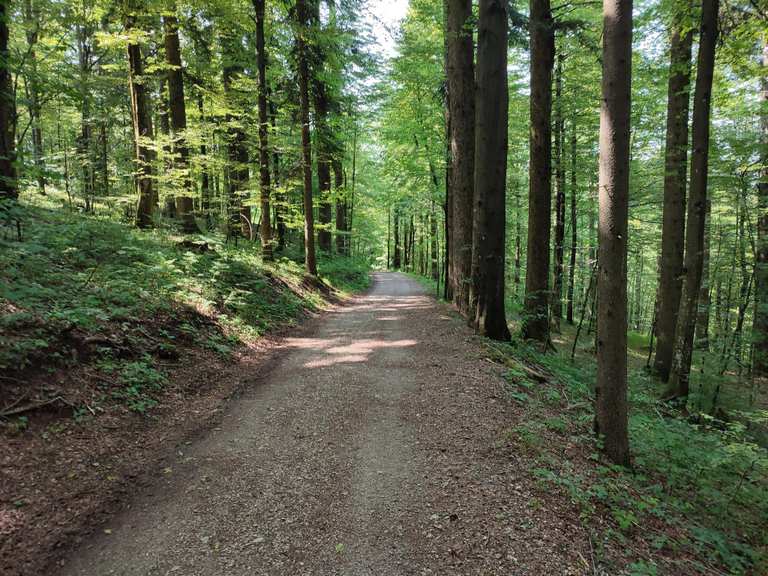 Attractions and Places To See around Grad Delnice - Top 18 | Komoot