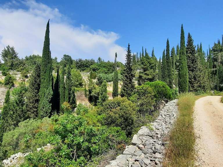 Top 10 Most Beautiful Road Biking Routes around Grad Korčula | Komoot