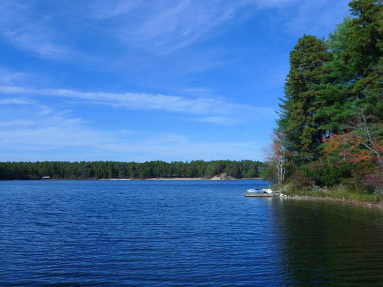 Top 9 Running Trails in Myles Standish State Forest | Komoot