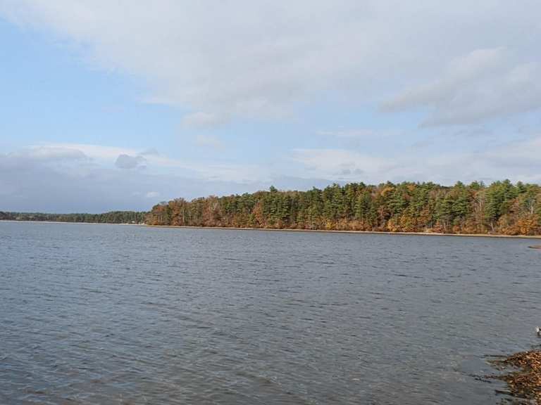 Top 7 Hikes and Walks in Freetown-Fall River State Forest | Komoot