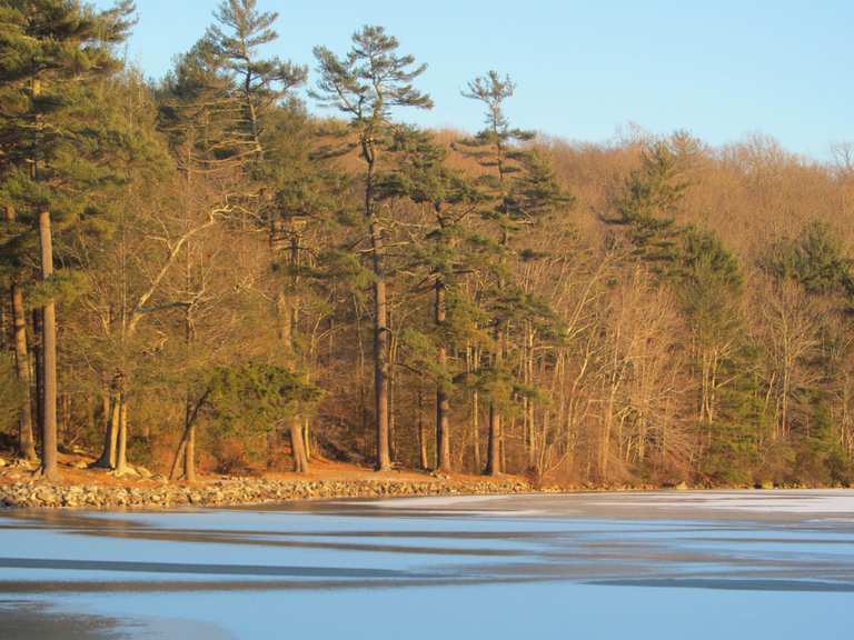 The best walks and hikes in Douglas State Forest | Komoot