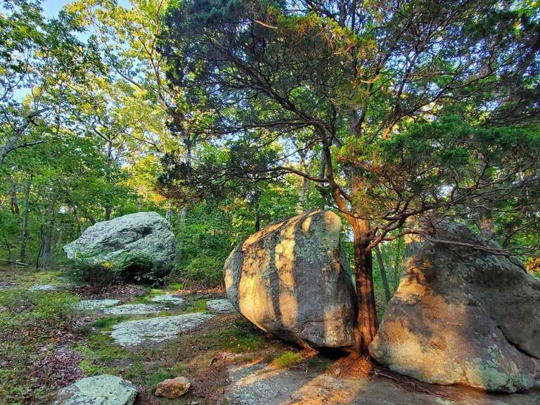 Top 5 Hikes and Walks in Cockaponset State Forest | Komoot