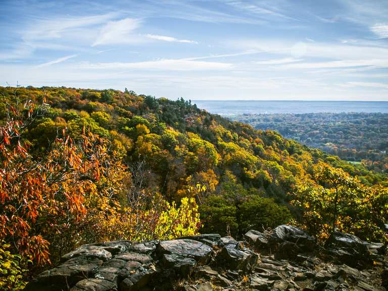 Top 12 Hikes and Walks in Naugatuck State Forest | Komoot