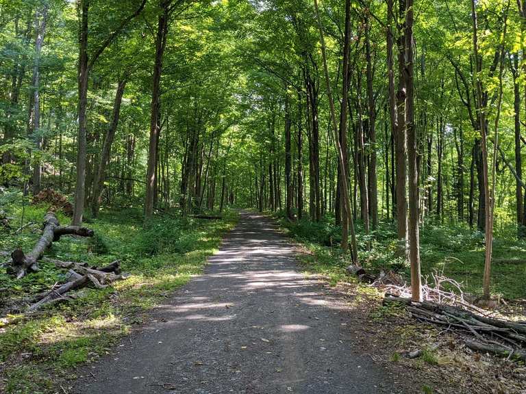 Die 10 schönsten Fahrradtouren im Naugatuck State Forest | Komoot
