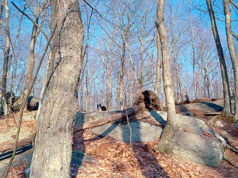 Top 5 Running Trails in Naugatuck State Forest - Quillinan Reservoir ...