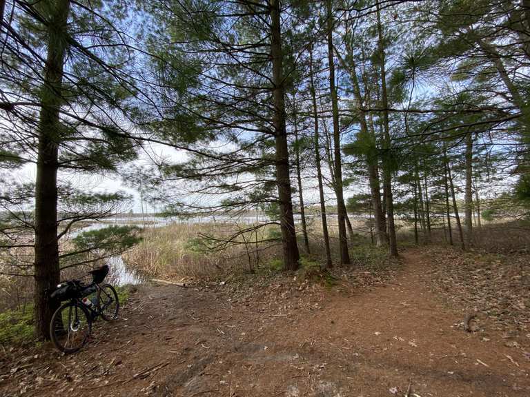 Top 10 Hikes and Walks in Pere Marquette State Forest - Traverse City ...