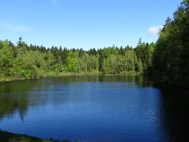 Top 5 randonnées et balades autour de Alexisbad | Komoot