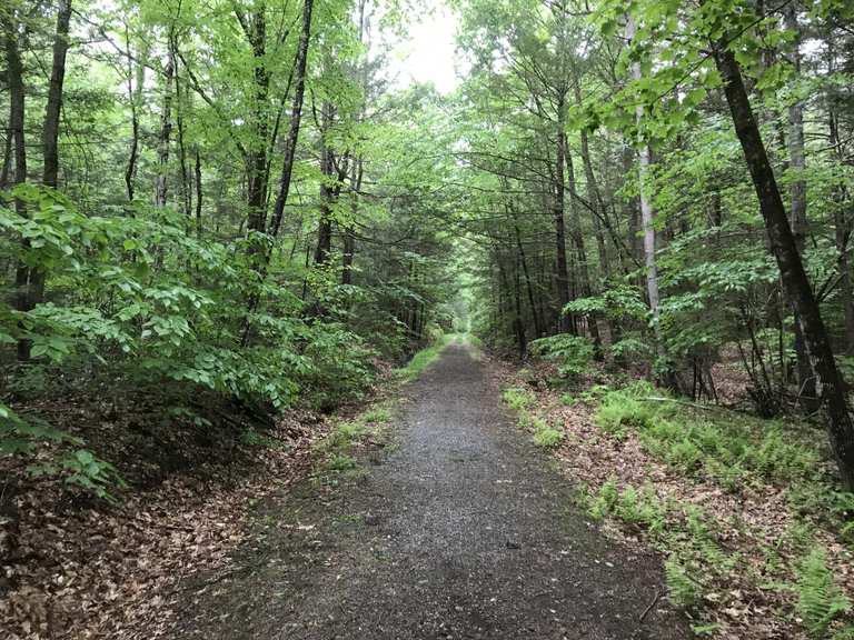 Top 8 Hikes and Walks in Townsend State Forest | Komoot