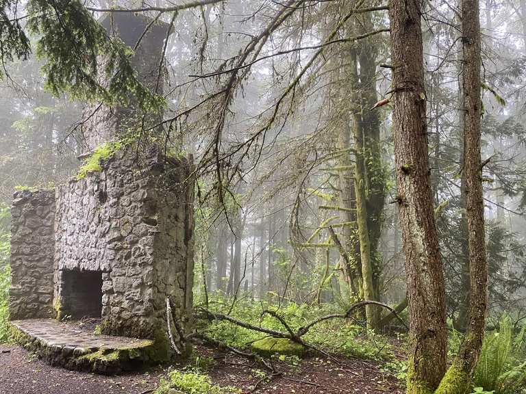 Top 10 Hikes and Walks in Tiger Mountain State Forest | Komoot