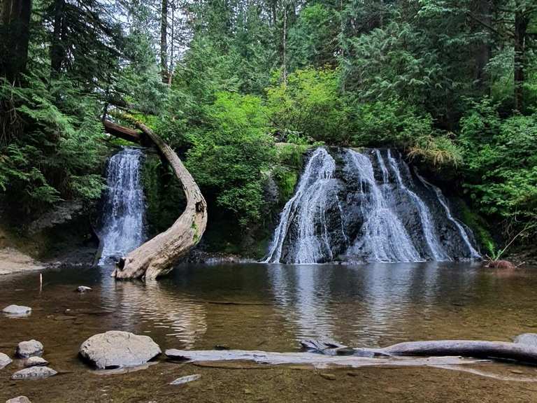 Top 10 Hikes and Walks in Marckworth State Forest | Komoot