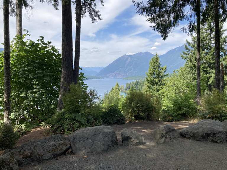 Top 6 Hikes and Walks in Tahuya State Forest | Komoot