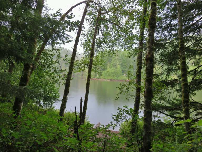 Top 10 Running Trails in Clatsop State Forest | Komoot