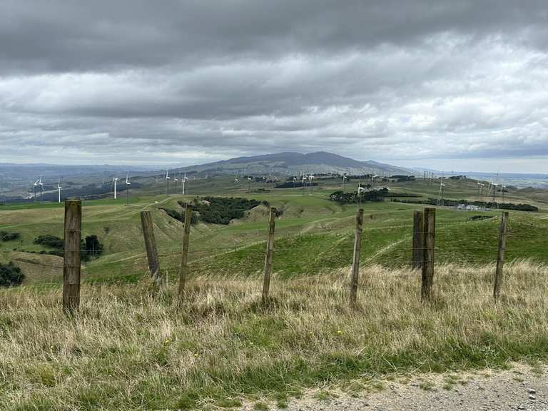 The best walks and hikes in Aokautere Forest | Komoot