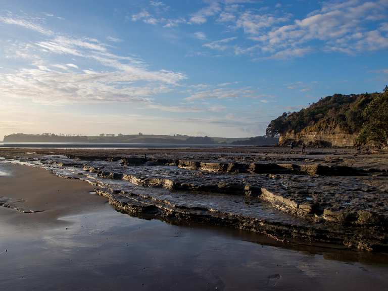 Top 7 Hikes and Walks in Weiti Forest | Komoot