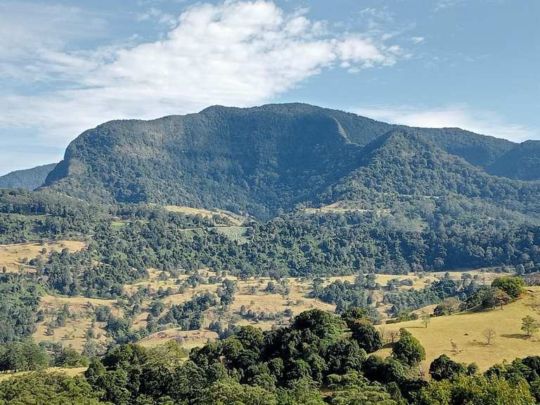 Top 7 Hikes and Walks in Numinbah Nature Reserve | Komoot