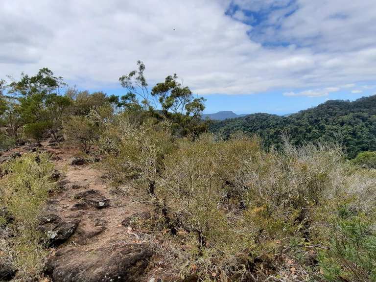 Top 9 Hikes and Walks in Springbrook National Park | Komoot