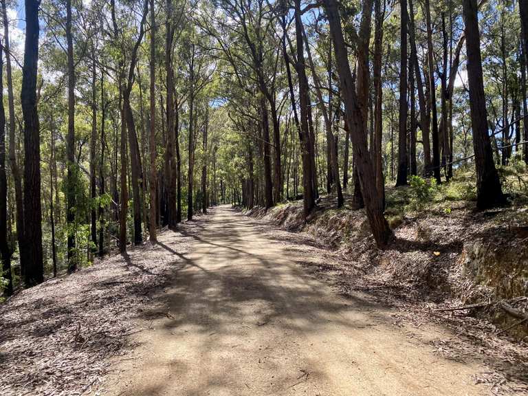 The best MTB trails in Bodalla State Forest | Komoot