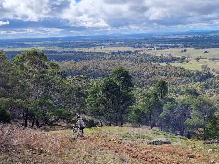 Die 10 schönsten Mountainbike-Touren im Creswick State Forest | Komoot