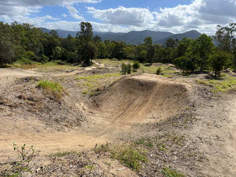 Top 5 Hikes and Walks in Crediton State Forest | Komoot