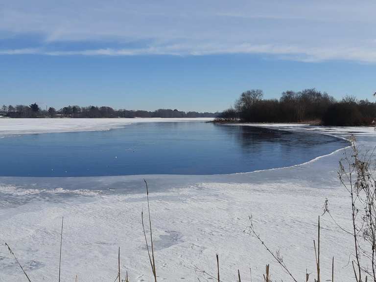 Top 10 Hikes and Walks in Utoft Plantage | Komoot